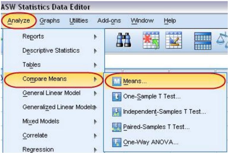 Mean Trong SPSS Là Gì? Cách Tính Mean Trong SPSS Từ A - Z | KTPM